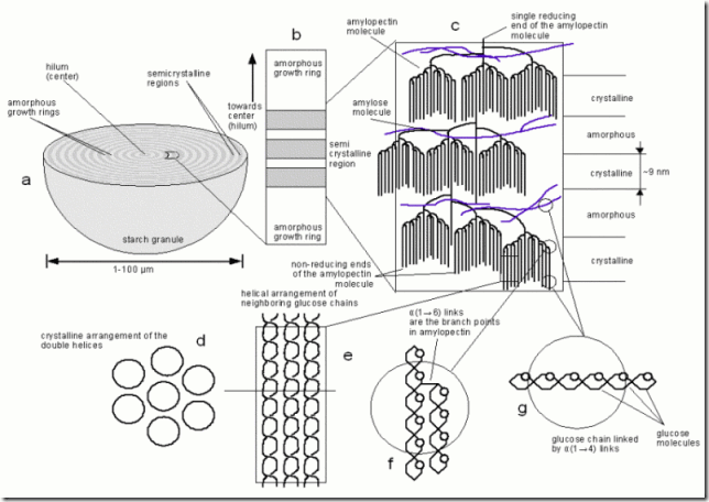 starch – SomeBeans